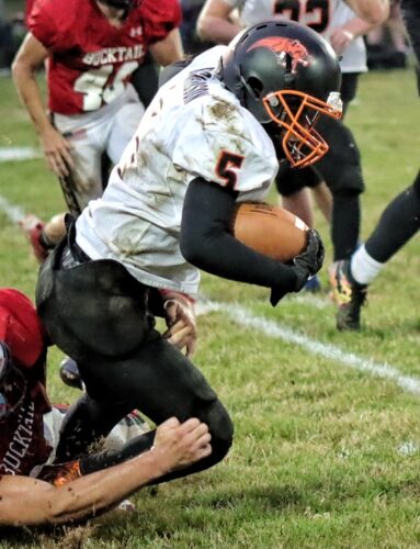 Sheffield looks to bounce back | News, Sports, Jobs - Times Observer